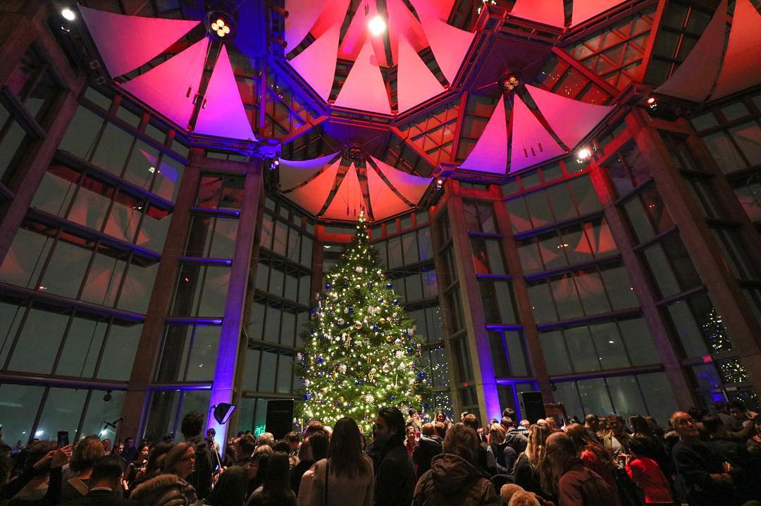Where To See The Best Christmas Trees in Ottawa - Little Miss Ottawa