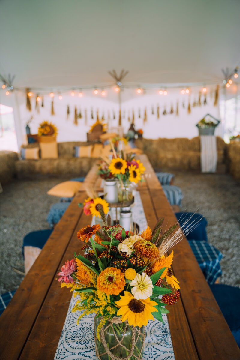 14 Amazing Things To Do In Laval, Quebec - Little Miss Ottawa