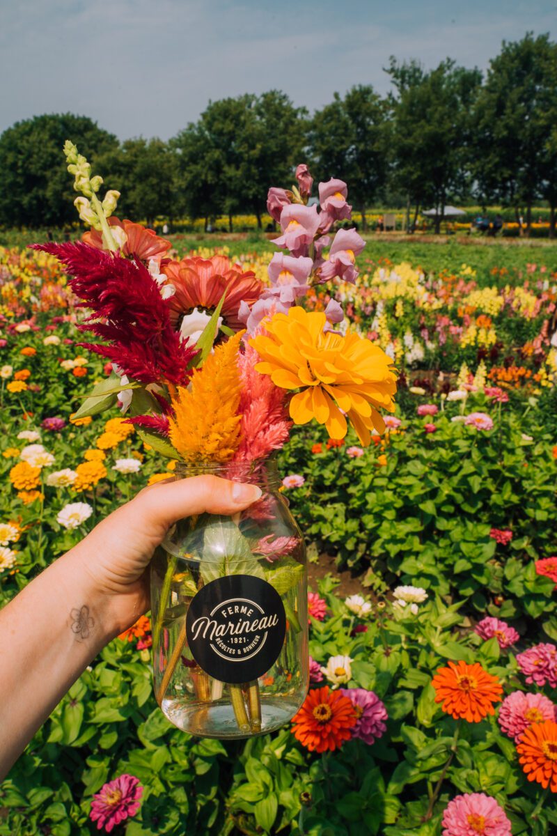 14 Amazing Things To Do In Laval, Quebec - Little Miss Ottawa